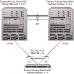 What is a MLT, DMLT, SMLT, SLT or IST?